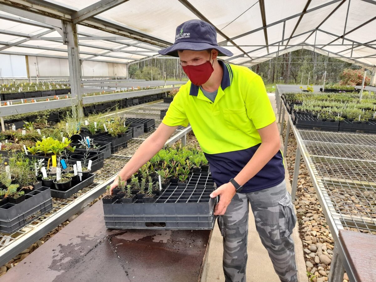 Latest News – Merriwa